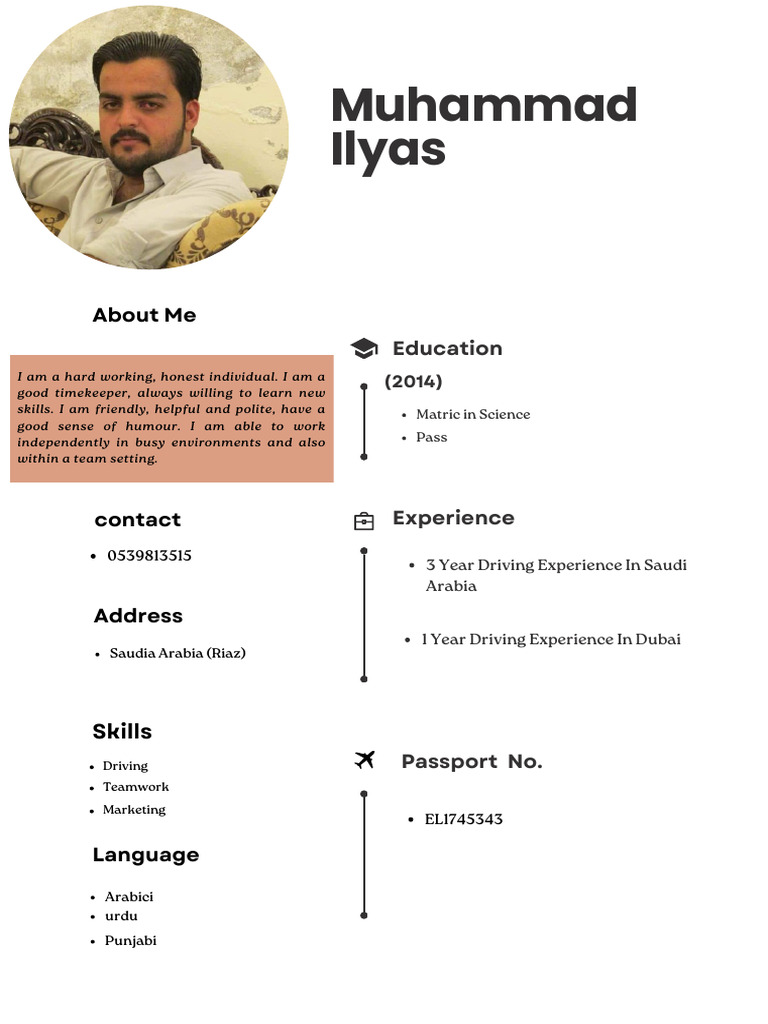 Modern Minimalist CV Resume M Ilyas | PDF