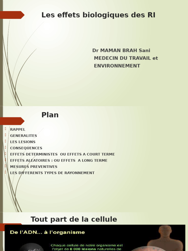 Les Effets Biologiques Des RI | PDF | Cancer | ADN