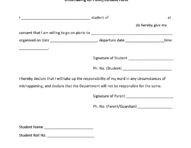 School College Picnic Consent Form | PDF