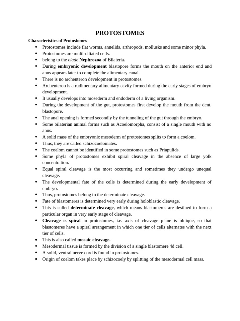 Protostomes Vs Deuterostomes | PDF