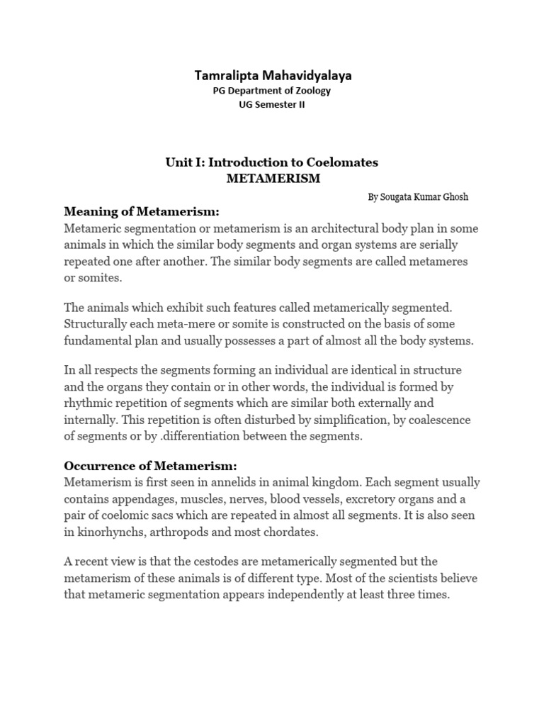 Understanding Metamerism in Coelomates | PDF | Biology