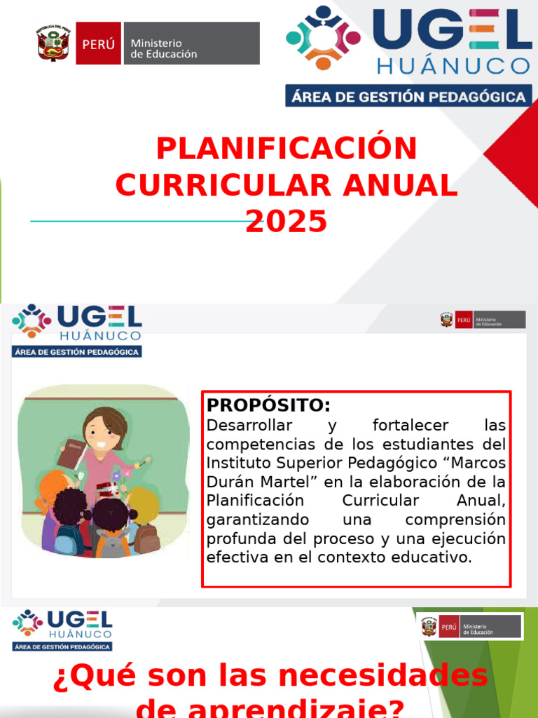 Planificacion Curricular Anual 2025 | PDF | Aprendizaje | Evaluación