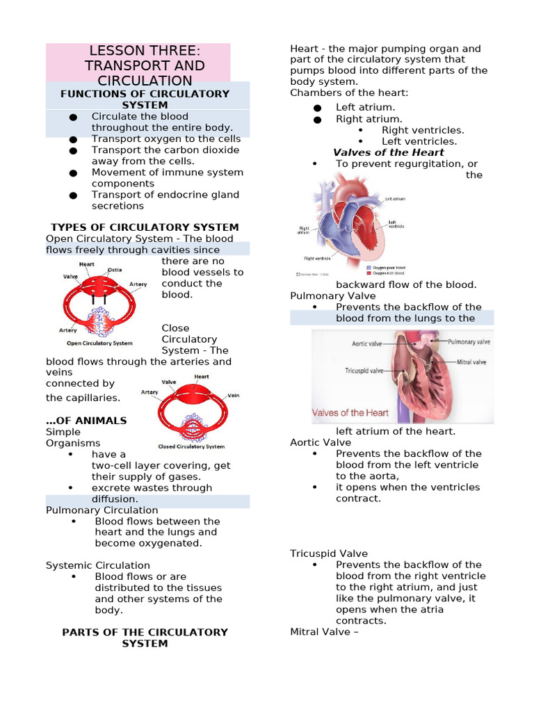 Lesson Two Transport and Circulation | PDF | Circulatory System | Heart