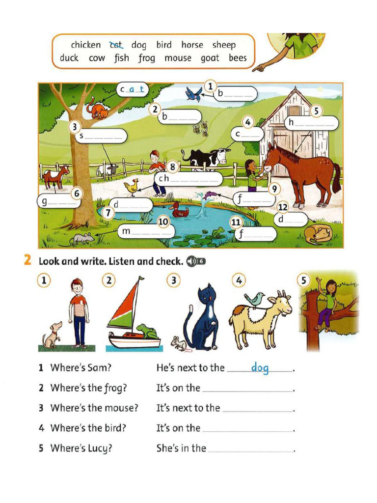 Practice Vocab | PDF