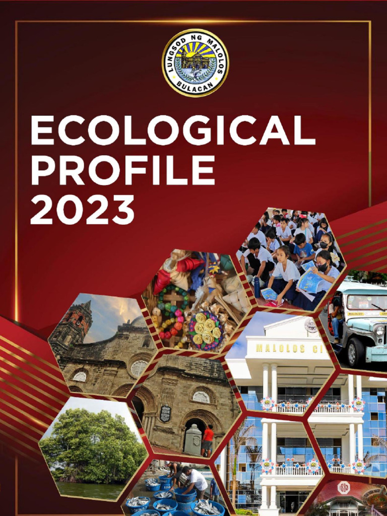 Ecological Profile 2023 | PDF | Rain