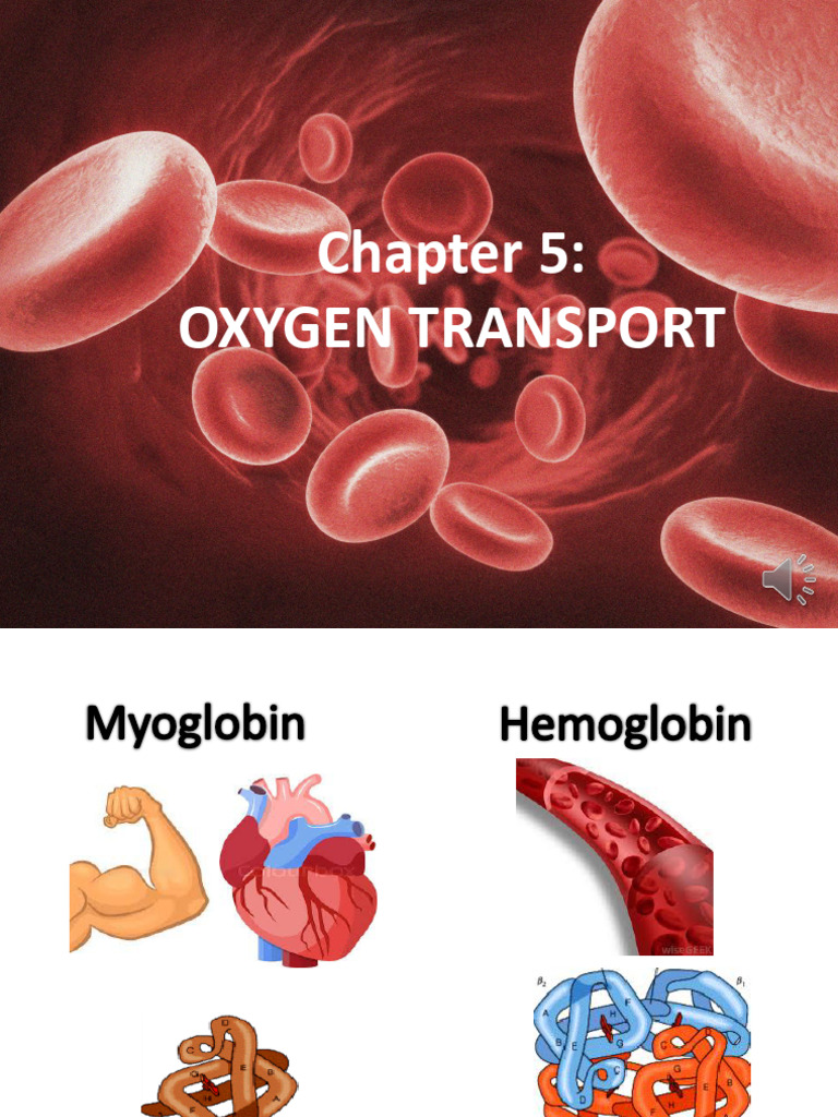 3.1. OXYGEN TRANSPORT - Part 1 | PDF | Ligand (Biochemistry) | Hemoglobin