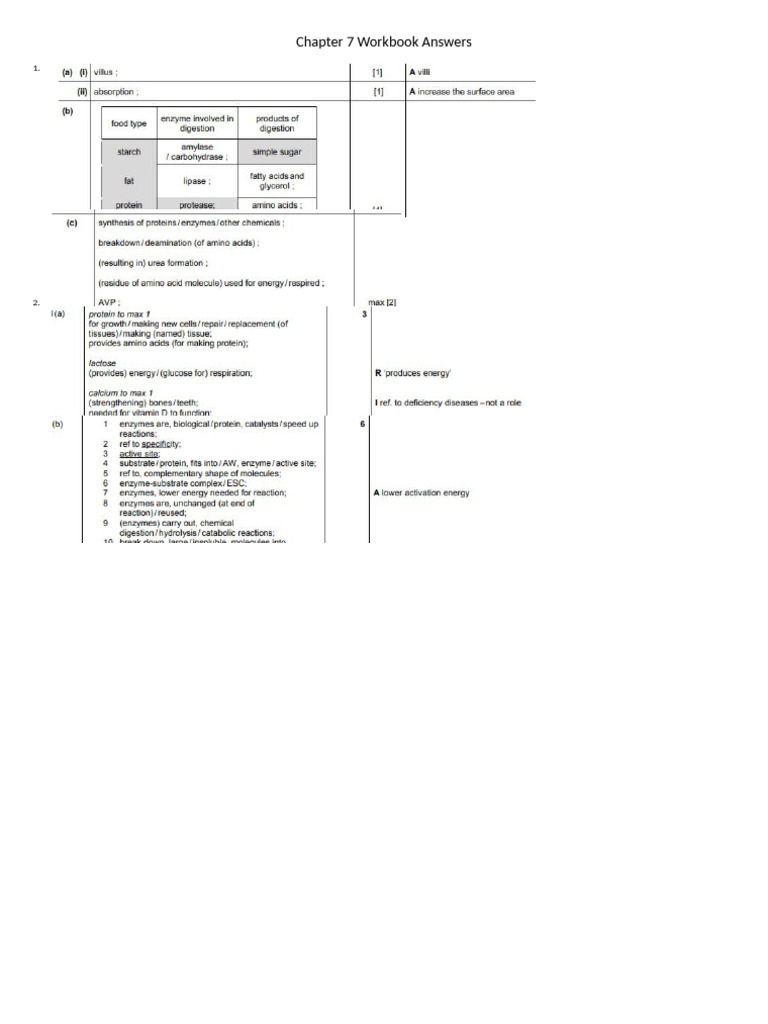Chapter 7 Workbook Answers | PDF