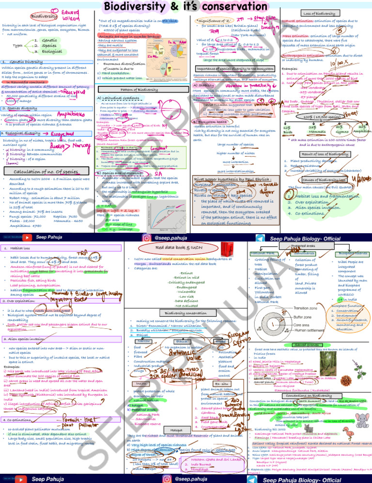Biodiversity and Conservation - Mind Map | PDF | Biodiversity ...