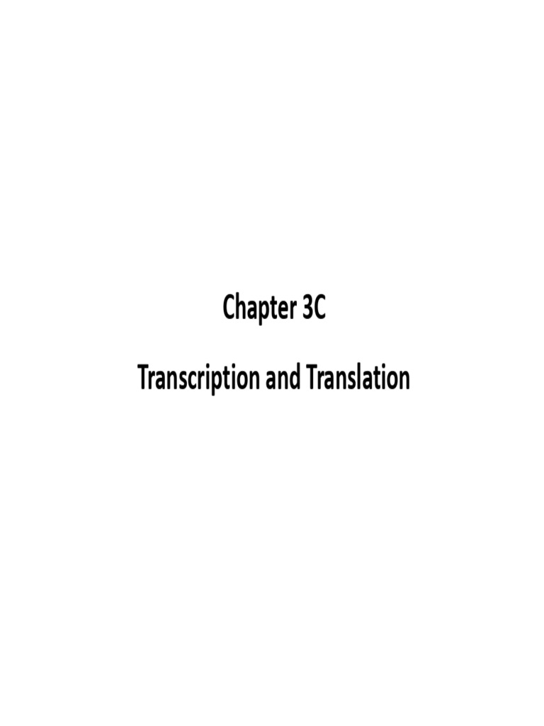 Chapter 3C (Transcription and Translation) 12Ls Biology | PDF | Translation (Biology ...