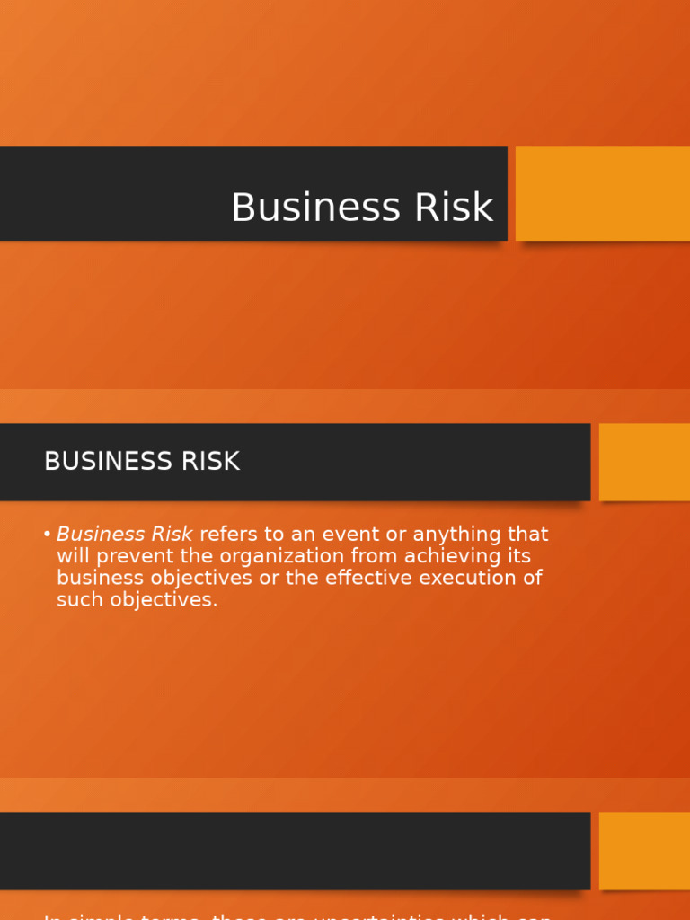 BUSINESS RISKS by Leonardo Matignas | PDF | Risk | Business