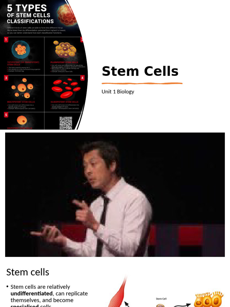 Lesson 10 - Stem Cells | PDF | Cell Potency | Stem Cell