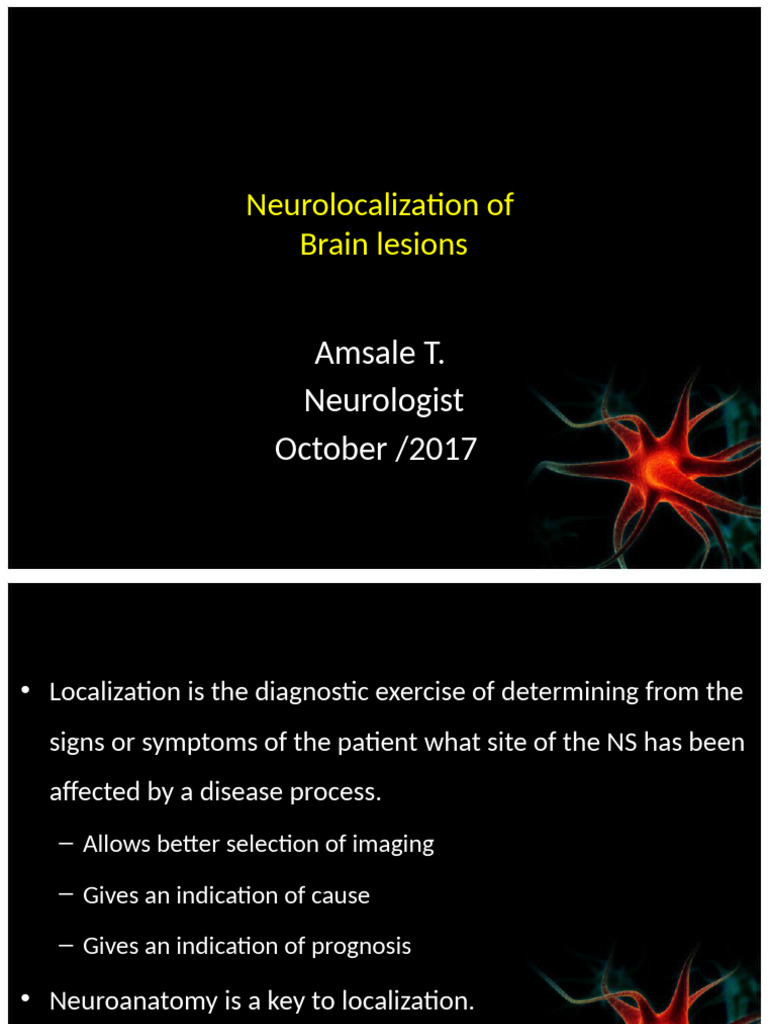 Neurolocalization - Lecture | PDF | Lateralization Of Brain Function | Cerebral Cortex