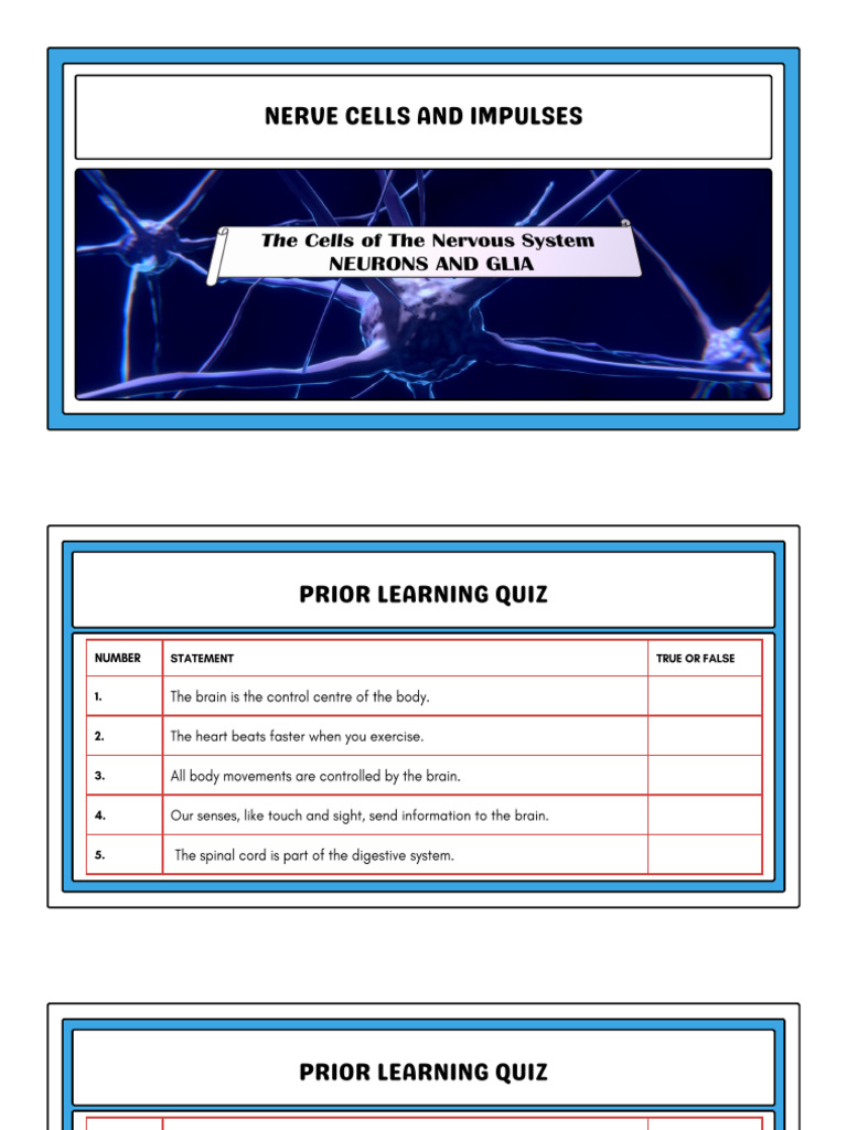 Nervous System Coordination Lesson II | PDF | Axon | Neuron