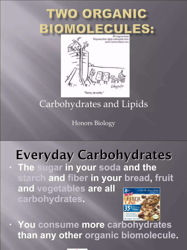 Carbohydrates and Lipids | PDF