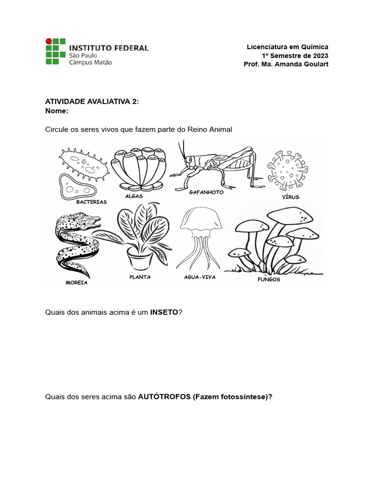 Atividade Avaliativa: Reino Animal e Insetos | PDF