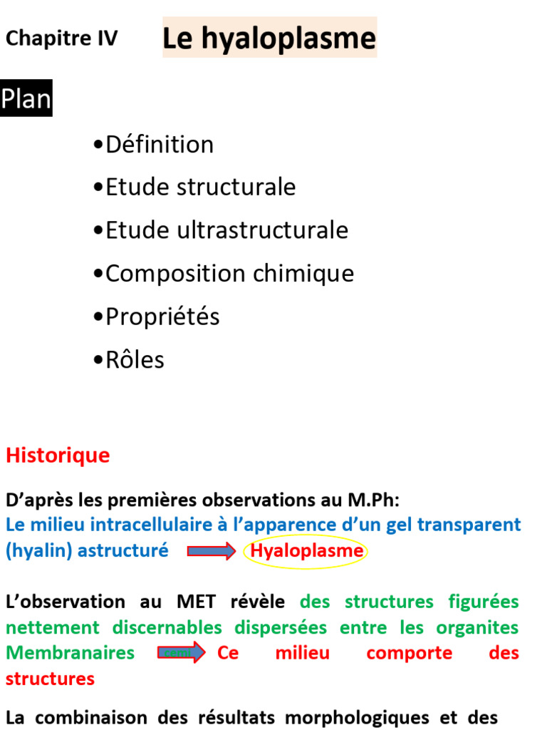 Comprendre le Hyaloplasme et le Cytosol | PDF | Cytosol | Cellule ...