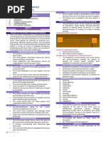 OT Vision Screening Checklist | PDF | Visual Perception | Eye