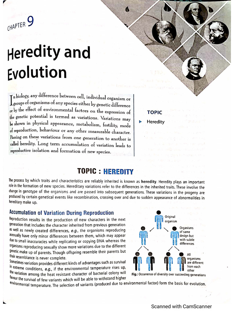 Heredity and Evolution | PDF