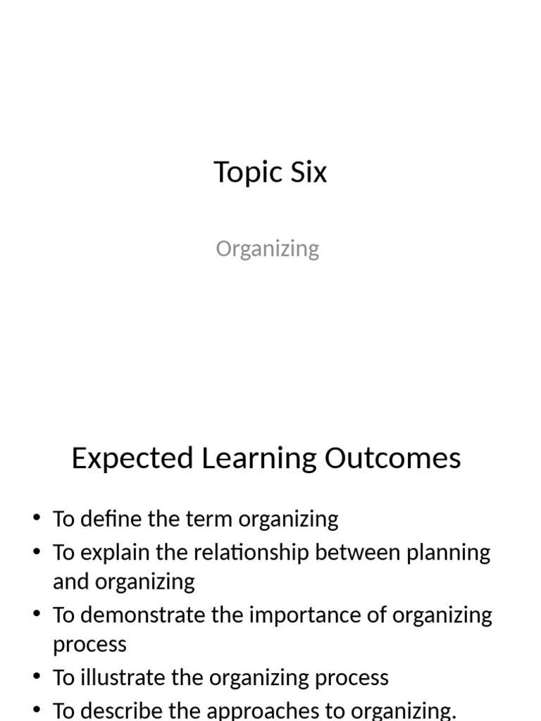 Topic Six Organizing-1 | PDF | Marketing | Business
