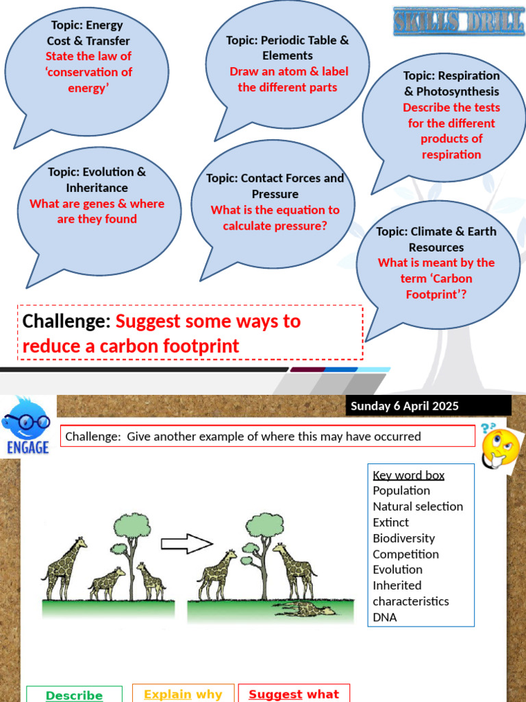 Year 9 Evolution Inheritance 2 | PDF | Dna | Natural Selection