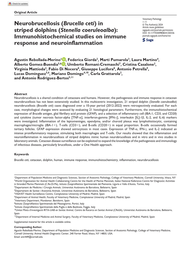 Neurobrucellosis (Brucella Ceti) in Striped Dolphins (Stenella Coeruleoalba) Immunohistochemical ...