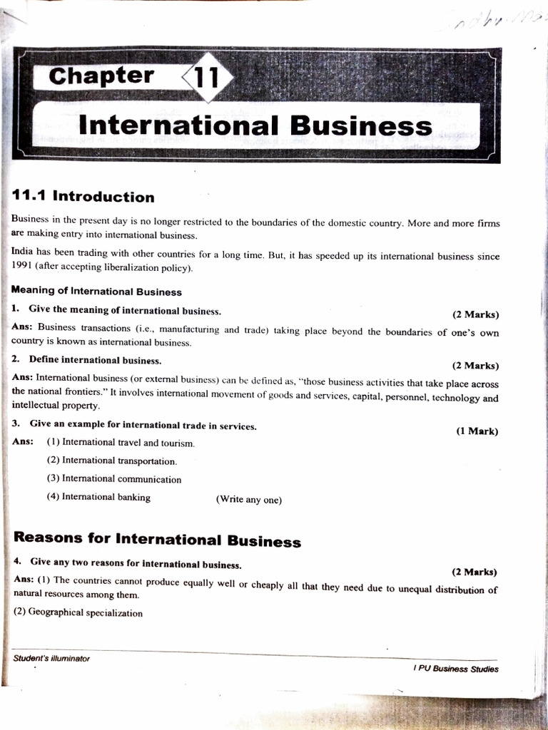BS International Business | PDF