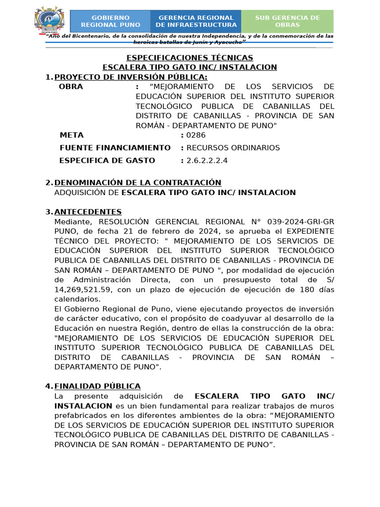 Adquisición Escalera Tipo Gato Puno | PDF