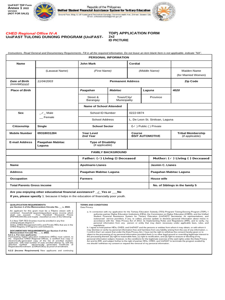 Annex 1 TDP Application Form | PDF | Justice | Crime & Violence