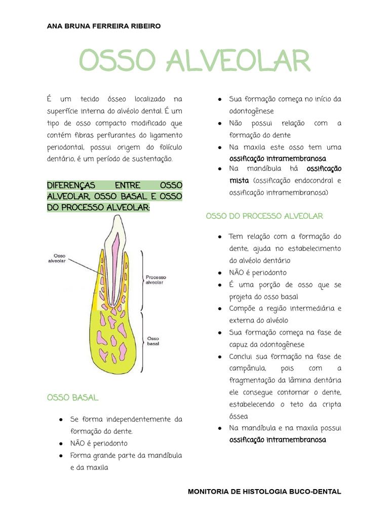Estrutura e Função do Osso Alveolar | PDF | Osso | Dente humano