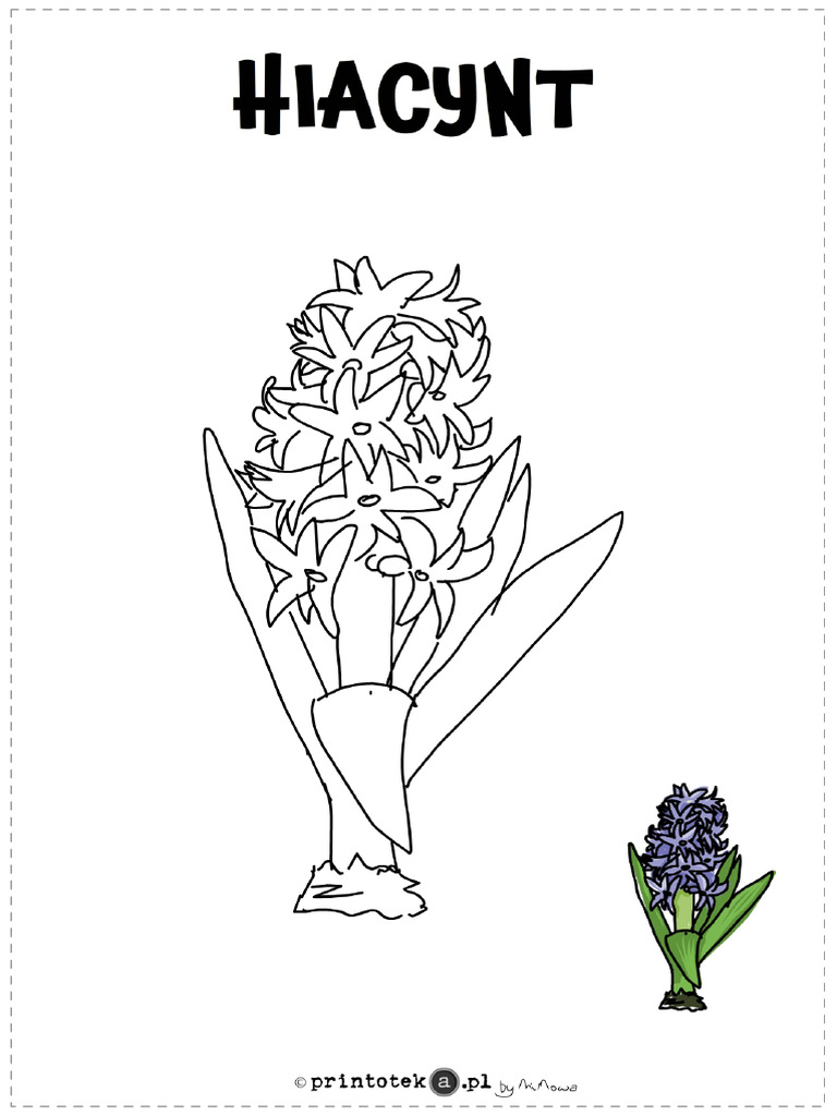 Hiacynt | PDF