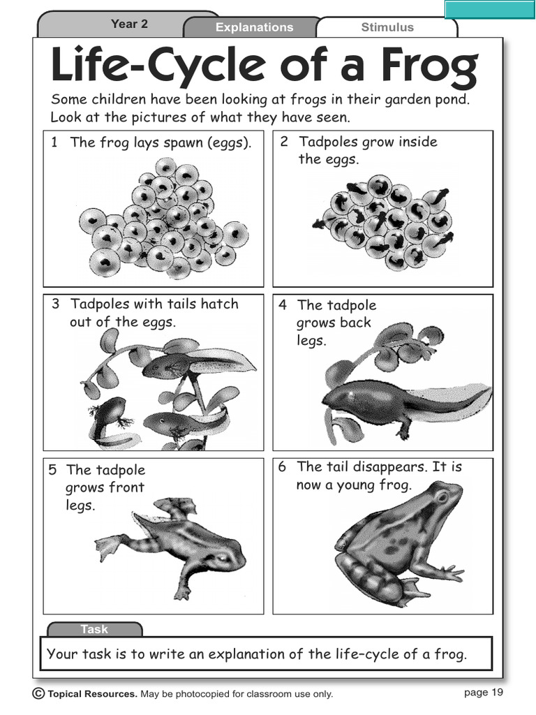 Year 2 Frog Life-Cycle Writing Activity | PDF