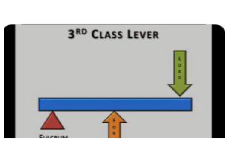 Class 3 Levers Diagram | PDF