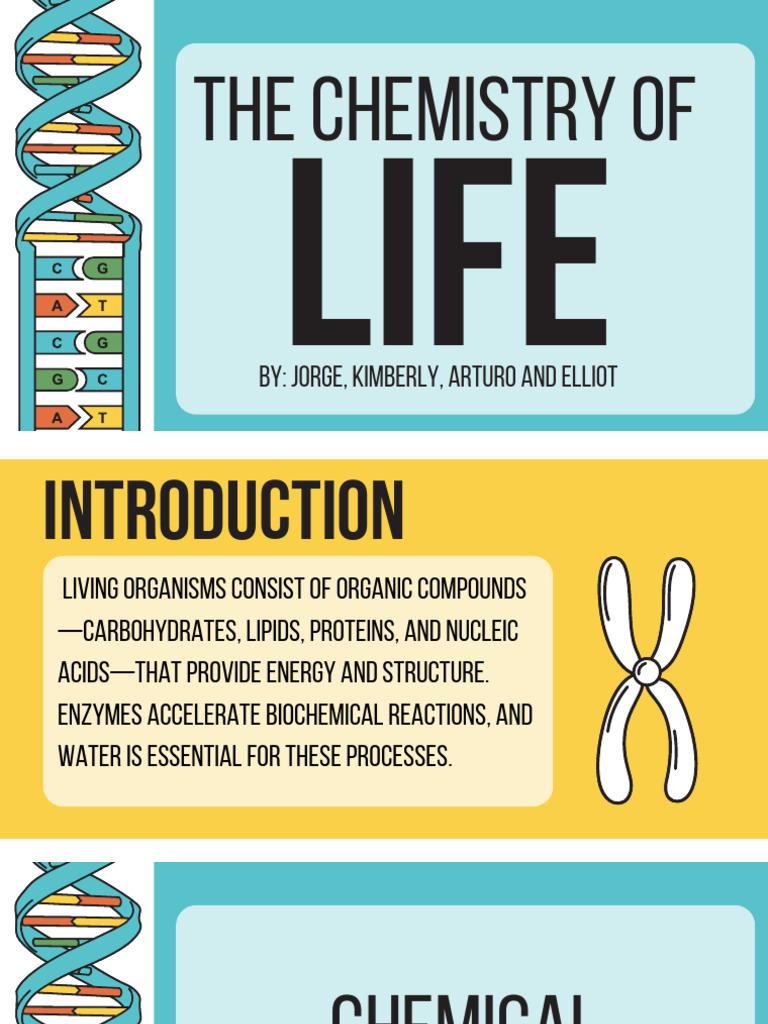 Chemistry of Life: Organic Compounds Explained | PDF | Carbohydrates ...