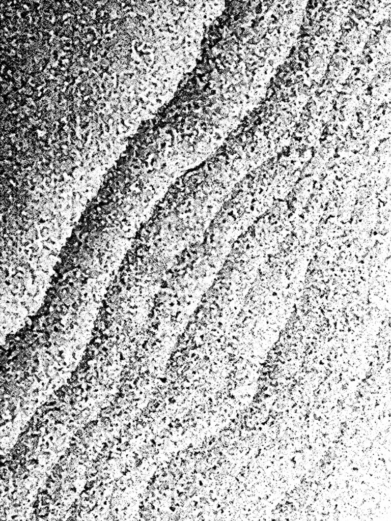 Vector Art Lesson | PDF