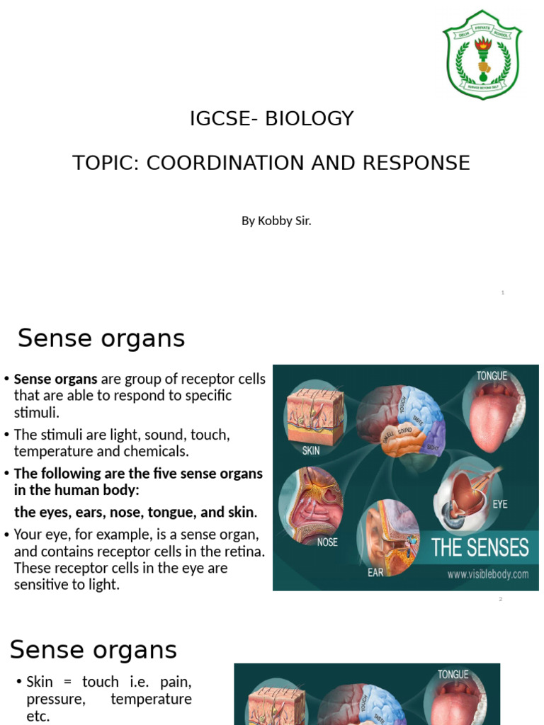 Sense Organs Coordination and Response | PDF | Retina | Eye