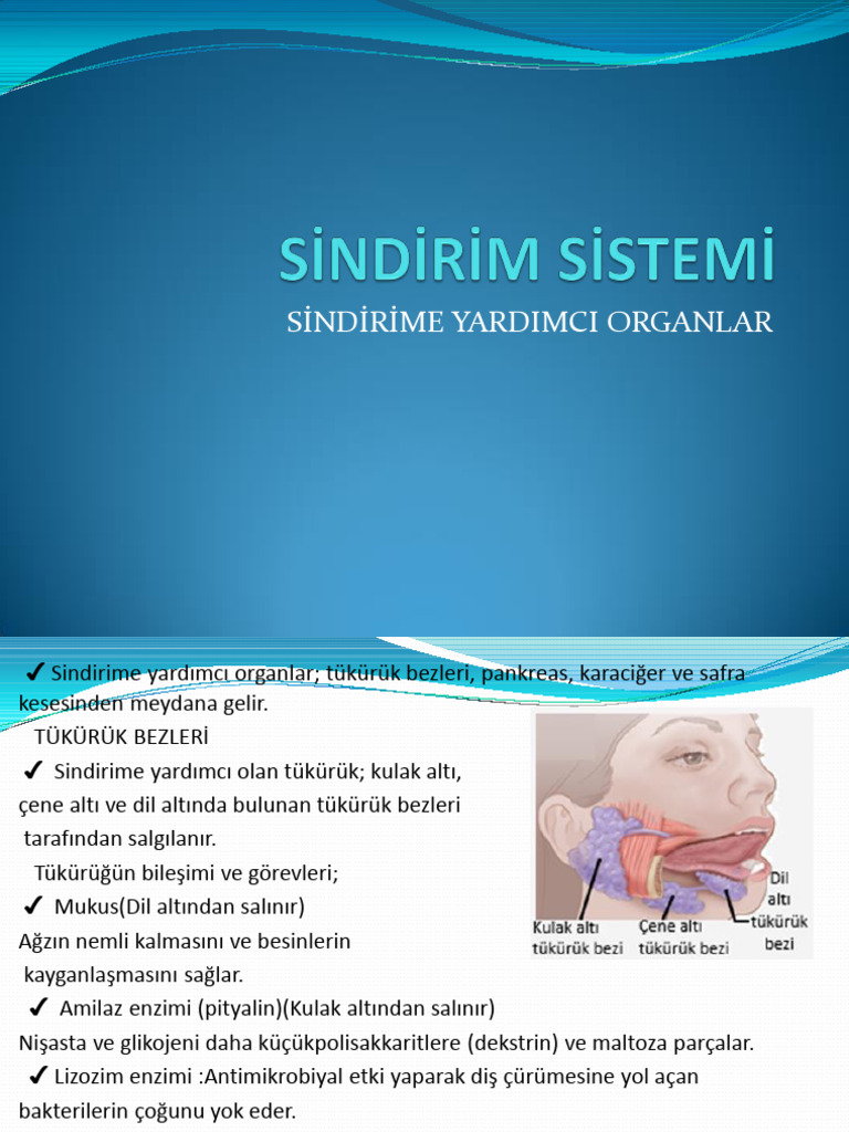 Si̇ndi̇ri̇m Si̇stemi̇ 2 ( Si̇ndi̇ri̇m Si̇stemi̇ Ve Si̇ndi̇ri̇me Yardimci Organlar ) | PDF