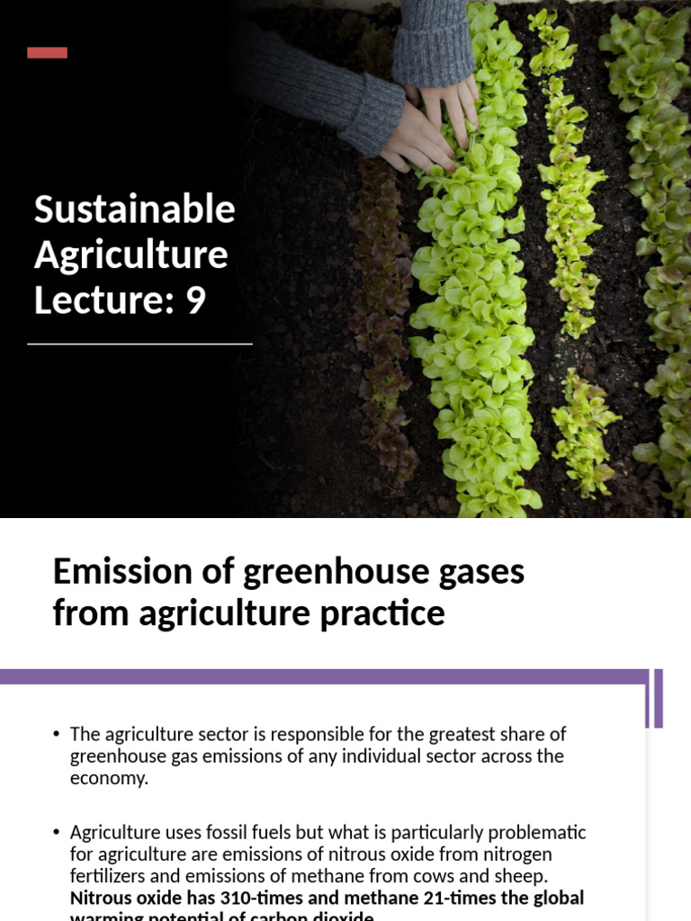 ENV - 107 - Lecture 9 - Sustainable Agriculture | PDF | Agriculture | Soil