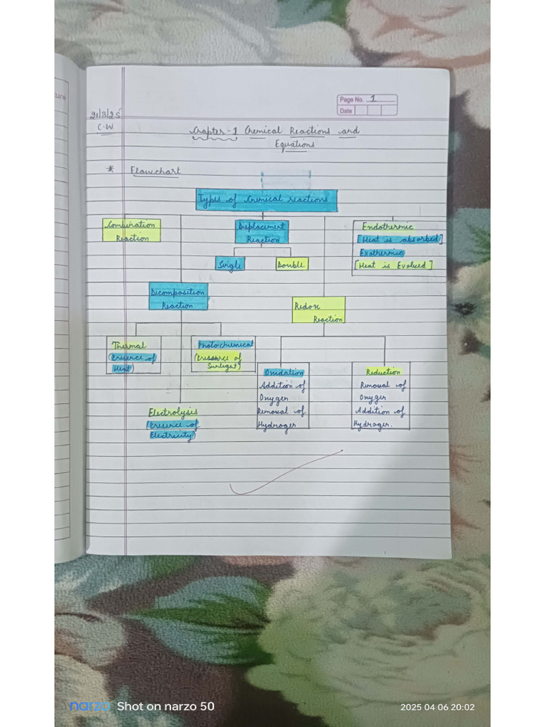 Class 10 Science Chapter 1 | PDF