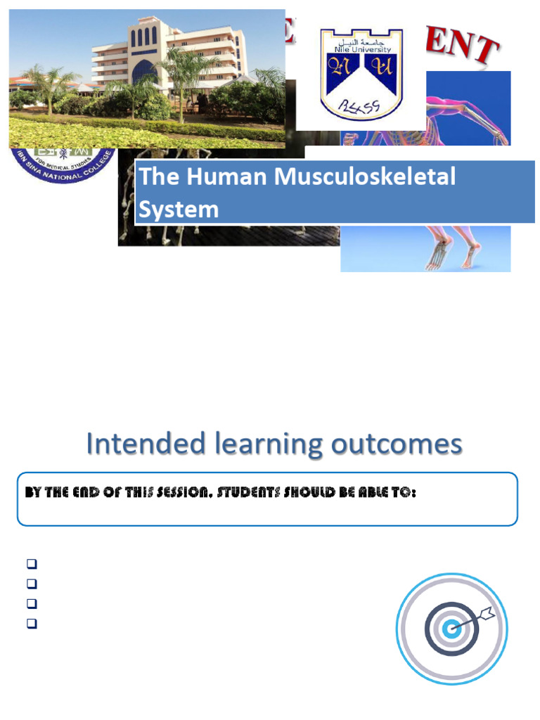 Dr-Salah M. Dafalla - Skeletal System | PDF | Bone | Skeleton