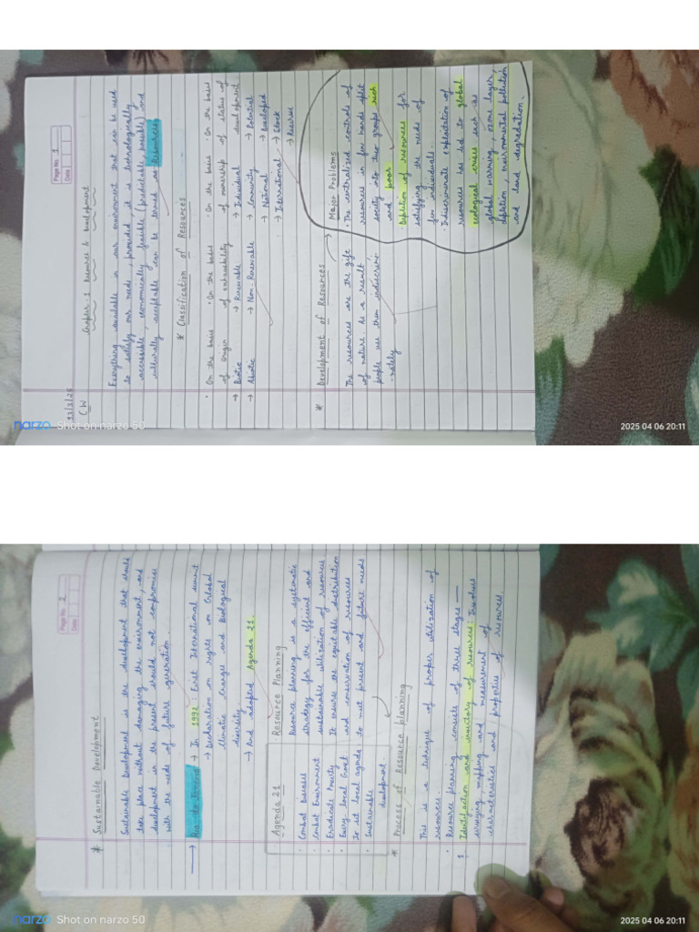 Class 10 Geography Chapter 1 Notes | PDF