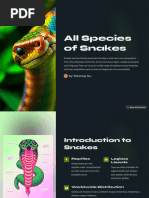 Pikachu Turtle Code | PDF