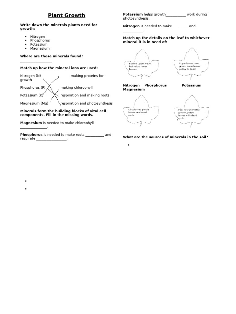 Essential Minerals for Plant Growth | PDF
