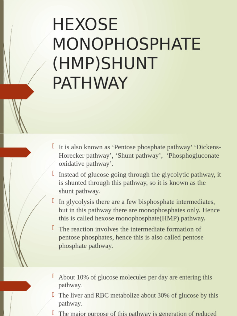 Hexose Monophosphate (HMP) Shunt Pathway-1 | PDF | Nicotinamide Adenine ...