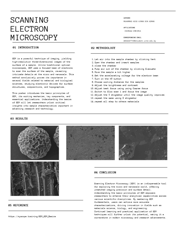 Scanning Electron Micros | PDF | Scanning Electron Microscope | Microscope