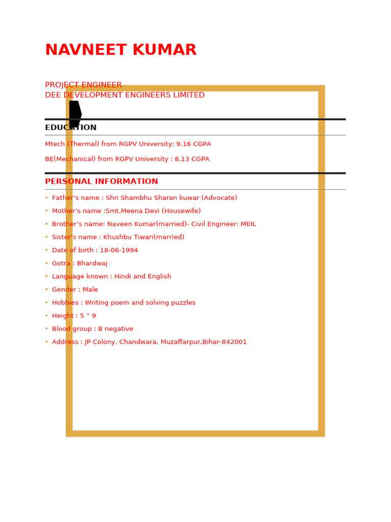 Biodata Navneet | PDF