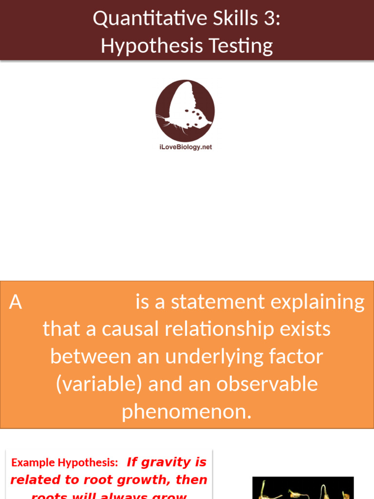 Quantitative Skills 3 Hypothesis Testing | PDF | Hypothesis | Null ...