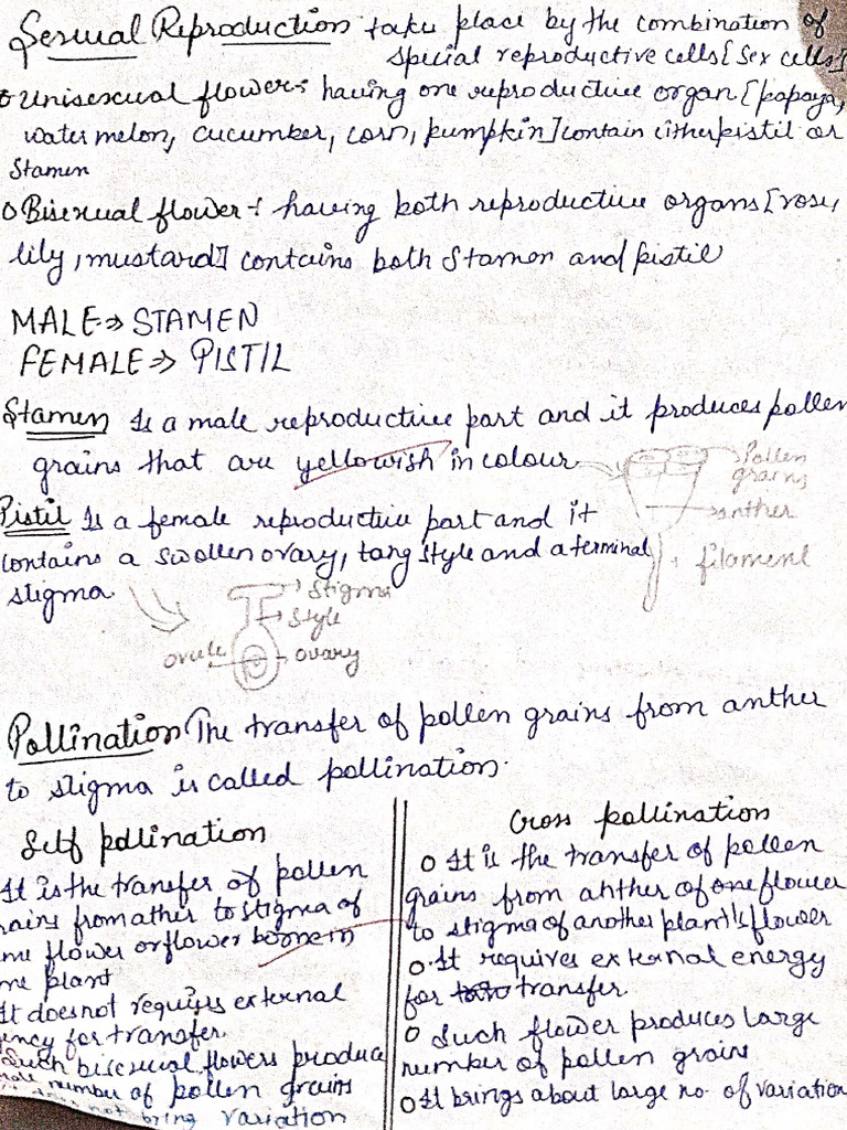 Science Class 10 Notes | PDF