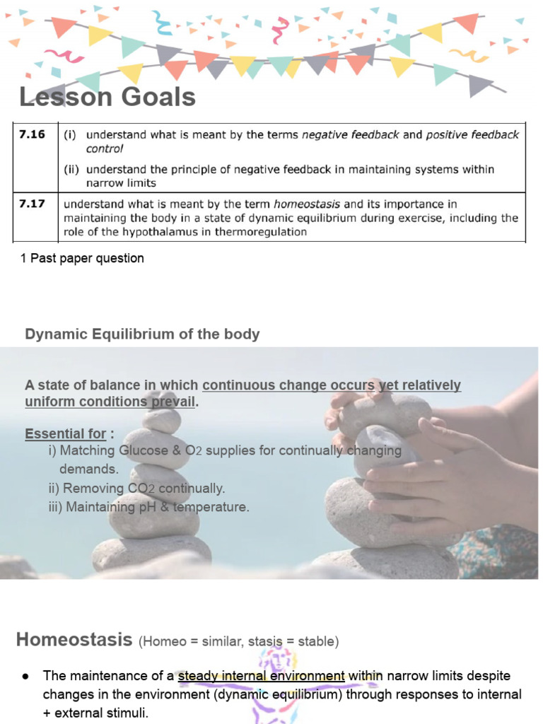 Homeostasis and Dynamic Equilibrium | PDF