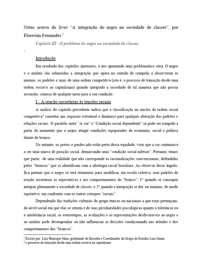 Desigualdade Racial na Sociedade Brasileira | PDF | Racismo ...
