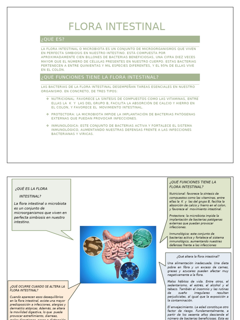 Importancia de la Flora Intestinal | PDF | Sistema inmune | Las bacterias